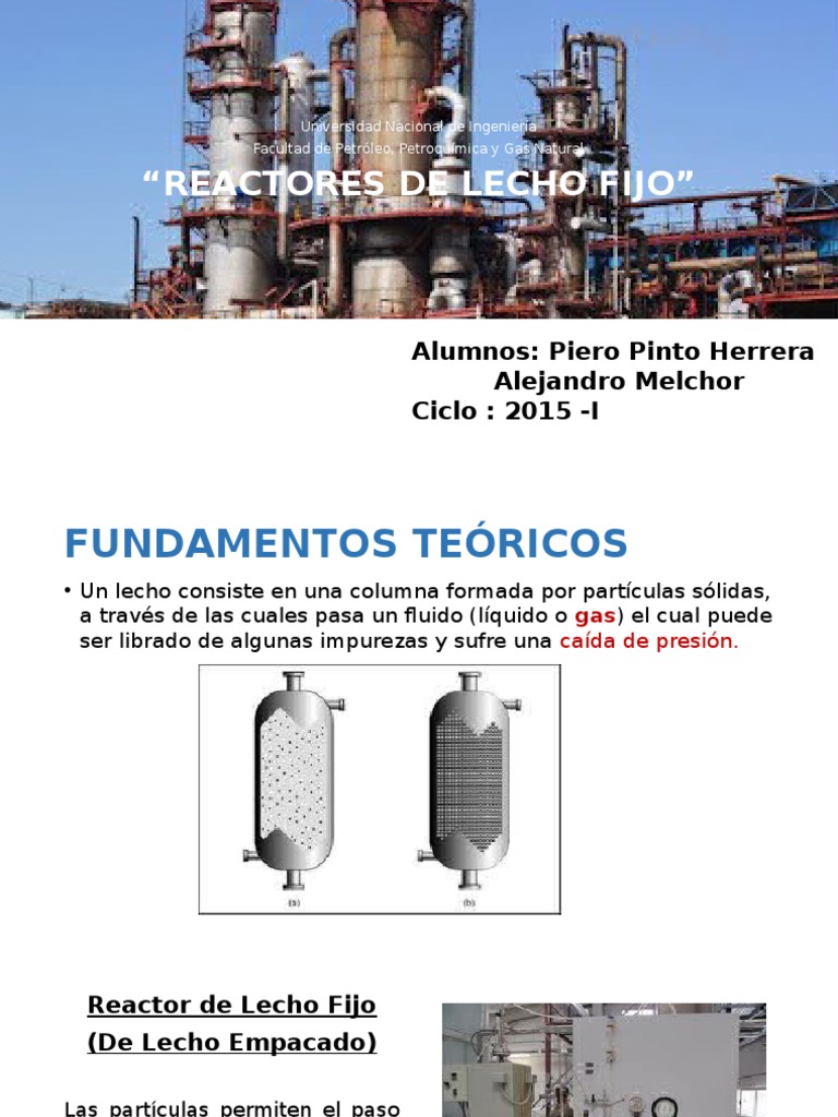 “Reactores De Lecho Fijo”: Alumnos: Piero Pinto Herrera Alejandro ...