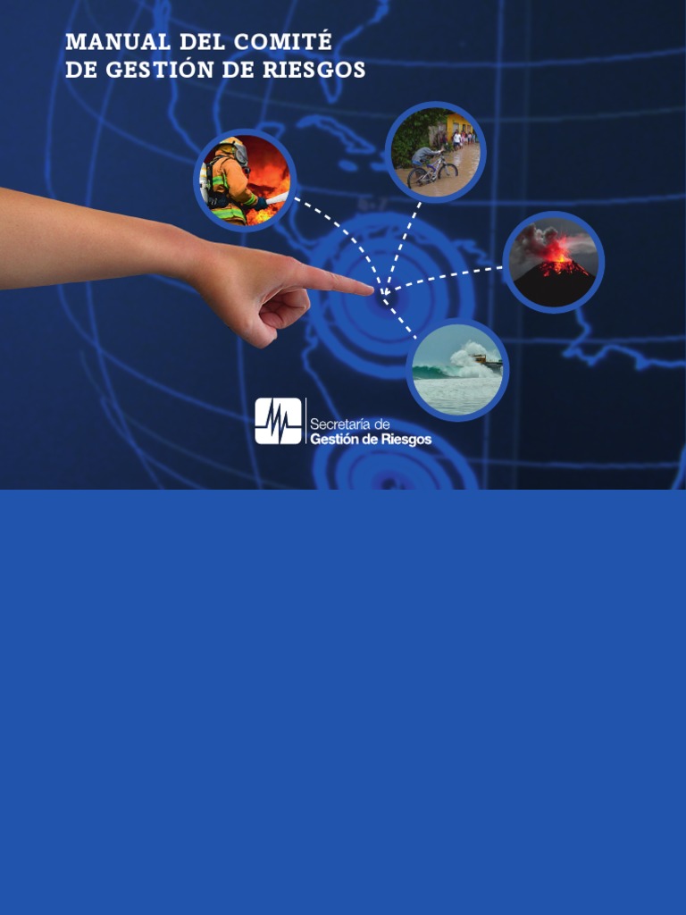 MANUAL DEL COMITÉ DE GESTIÓN DE RIESGOS Junio Del 2014 | Planificación ...