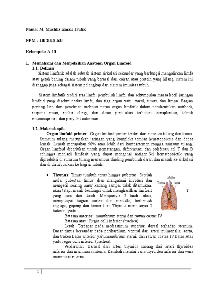 Anatomi dan Fungsi Organ Limfoid | PDF