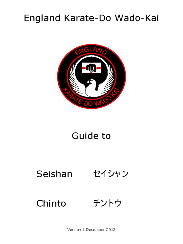 The EKW Guide To Seishan and Chinto Kata | PDF | Karate | East Asian ...