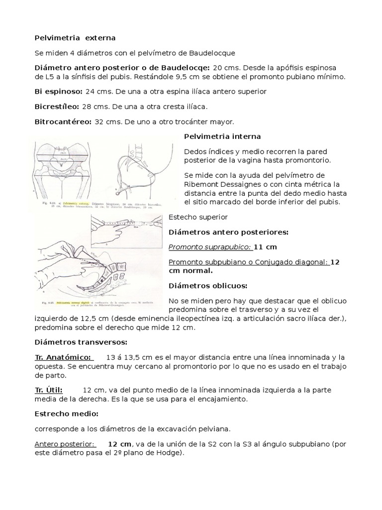 Pelvimetría: Medidas y Tipos de Pelvis | PDF | Pelvis | Anatomía humana