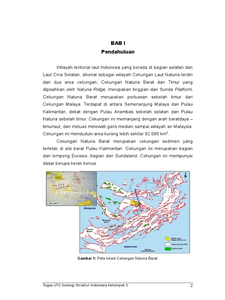 Cekungan Natuna Barat | PDF