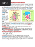 Crime Busters Cheat Sheet | PDF | Nucleotides | Chemistry
