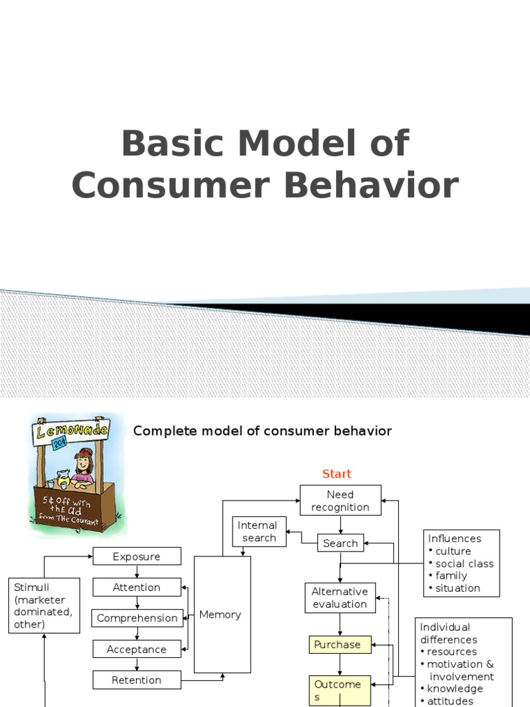 Basic Model of Consumer Behavior | PDF | Consumer Behaviour | Behavior