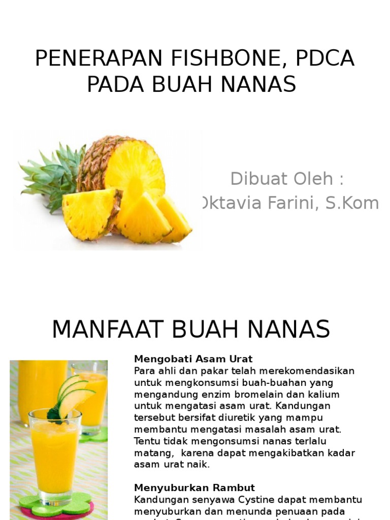 Penerapan Fishbone, Pdca | PDF