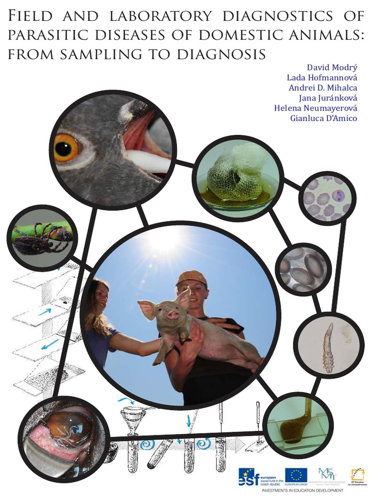 Field Parasitology | PDF