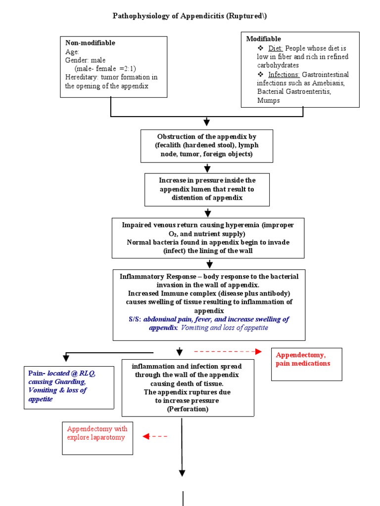 Pathophysiology of Appendicitis (Ruptured) | PDF