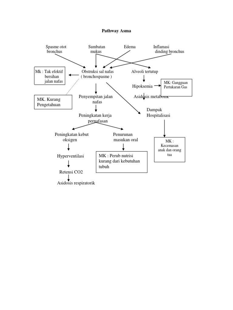 Pathway Asma pada Anak dan Kecemasan | PDF