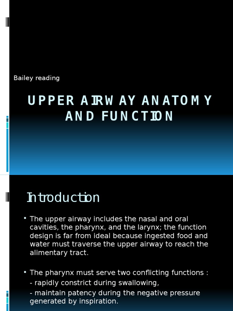 Upper Airway Anatomy and Function | PDF | Larynx | Human Throat
