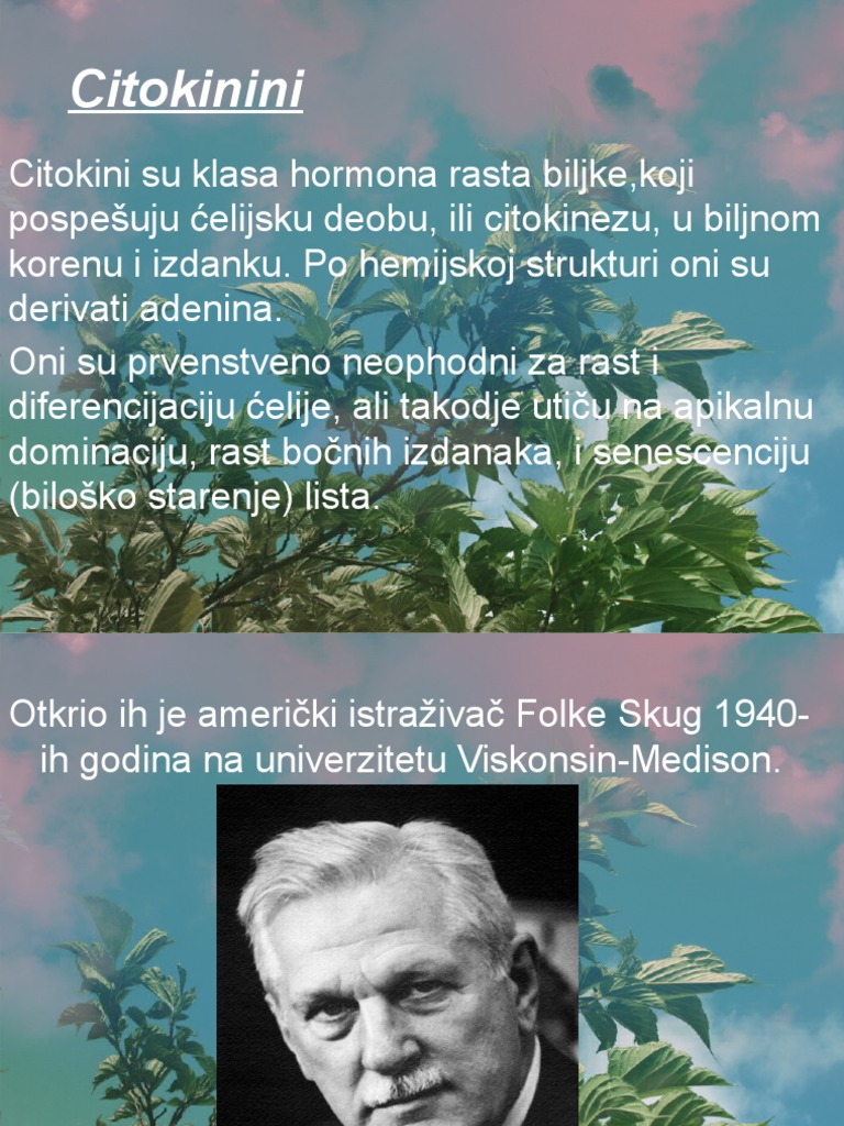 Citokinini | PDF