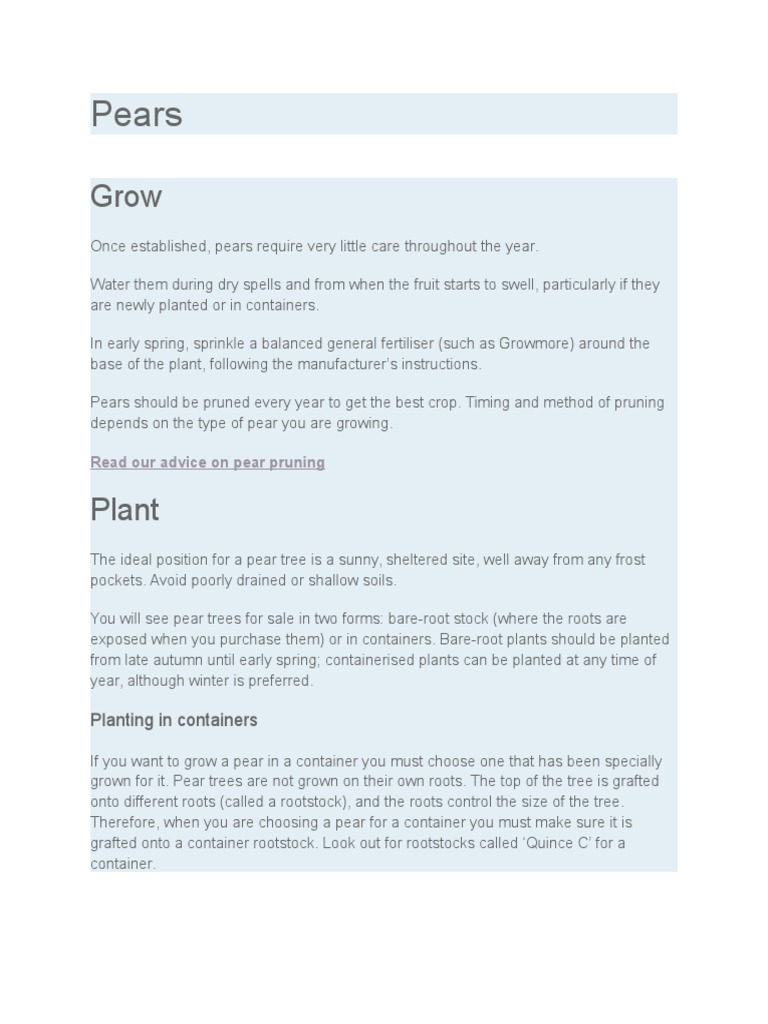 Pears: Planting in Containers | PDF | Pear | Grafting