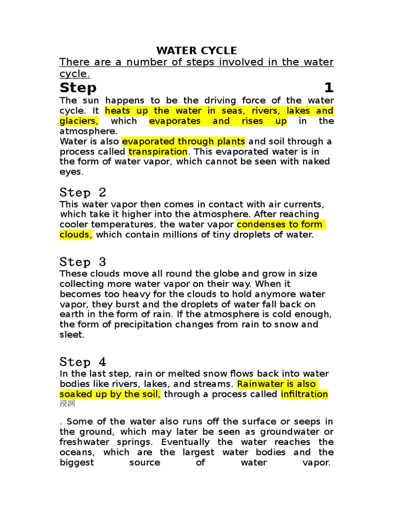 Water Cycle Pdf Water Cycle Evaporation