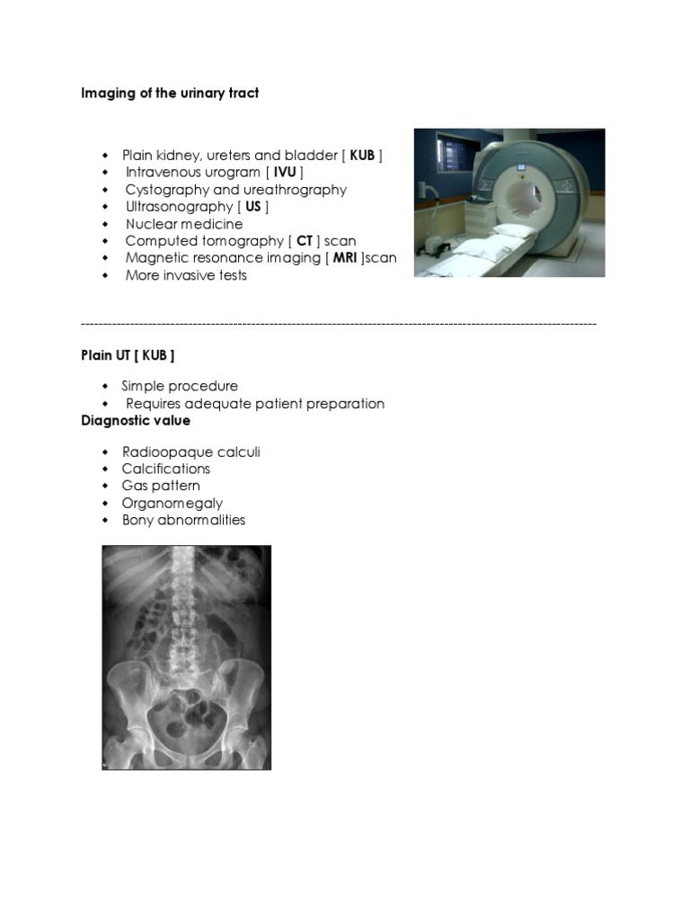 Imaging of The Urinary System | PDF | Kidney | Urinary System