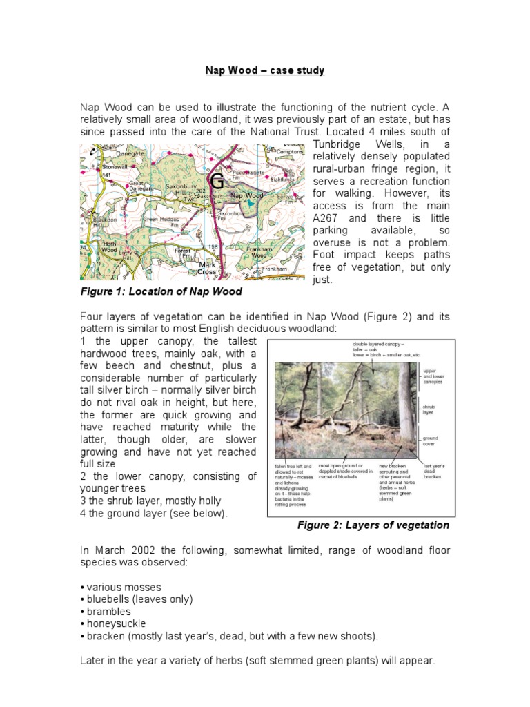Nap Wood Case Study | PDF | Trees | Forests