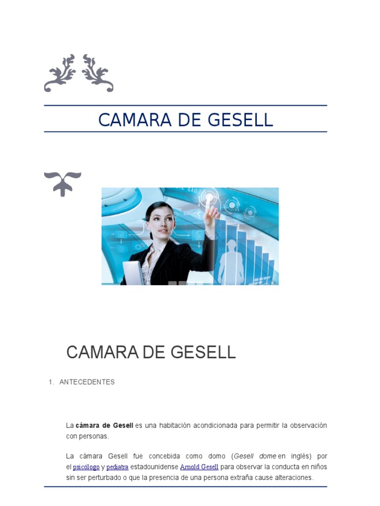Camara de Gesell | PDF | Investigación de mercado | Psicoterapia
