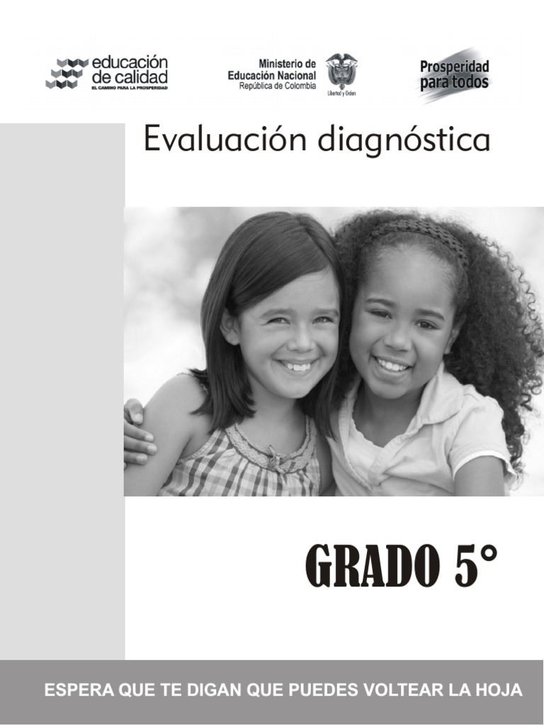 Evaluación Diagnóstica Grado 5° | PDF | Juguetes | Chocolate