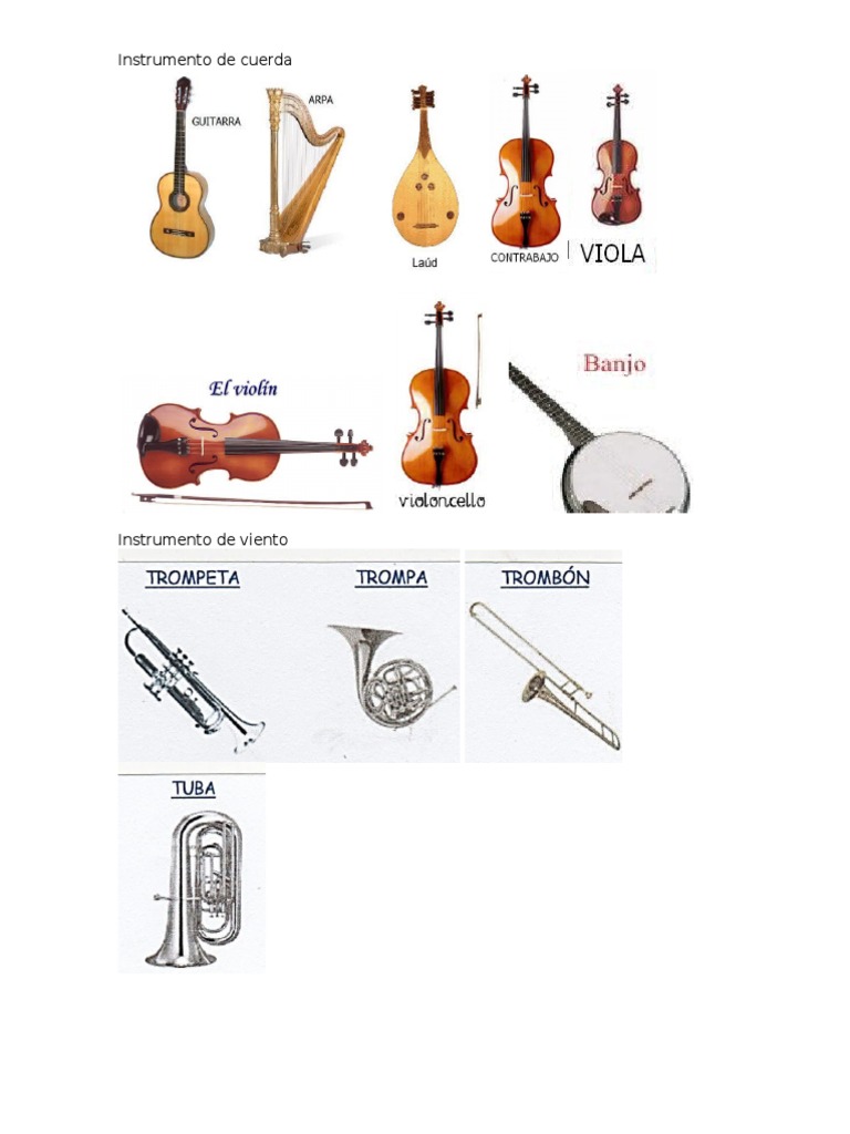 Los tres principales tipos de instrumentos musicales: instrumentos de ...
