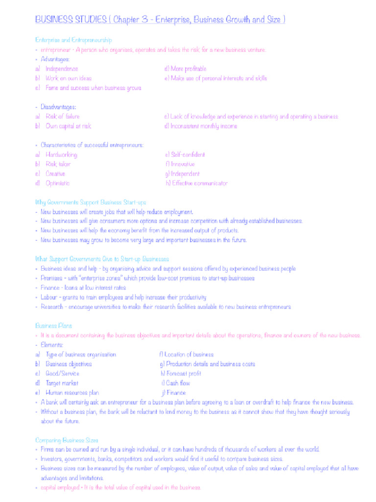 Chapter 3 - Enterprise, Business Growth and Size - Pages | PDF