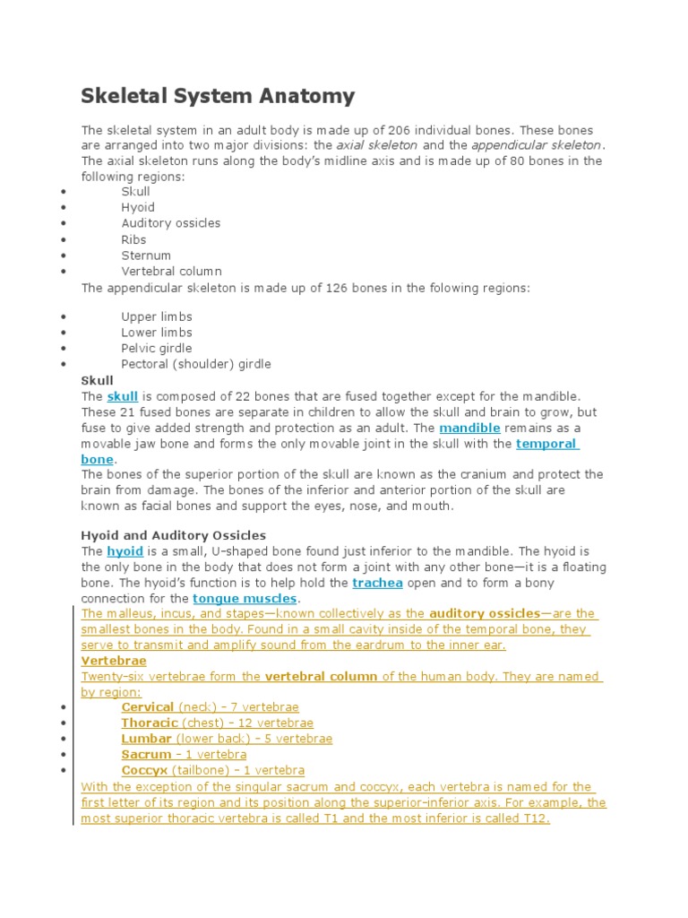 Skeletal System Anatomy | PDF | Skeleton | Bone