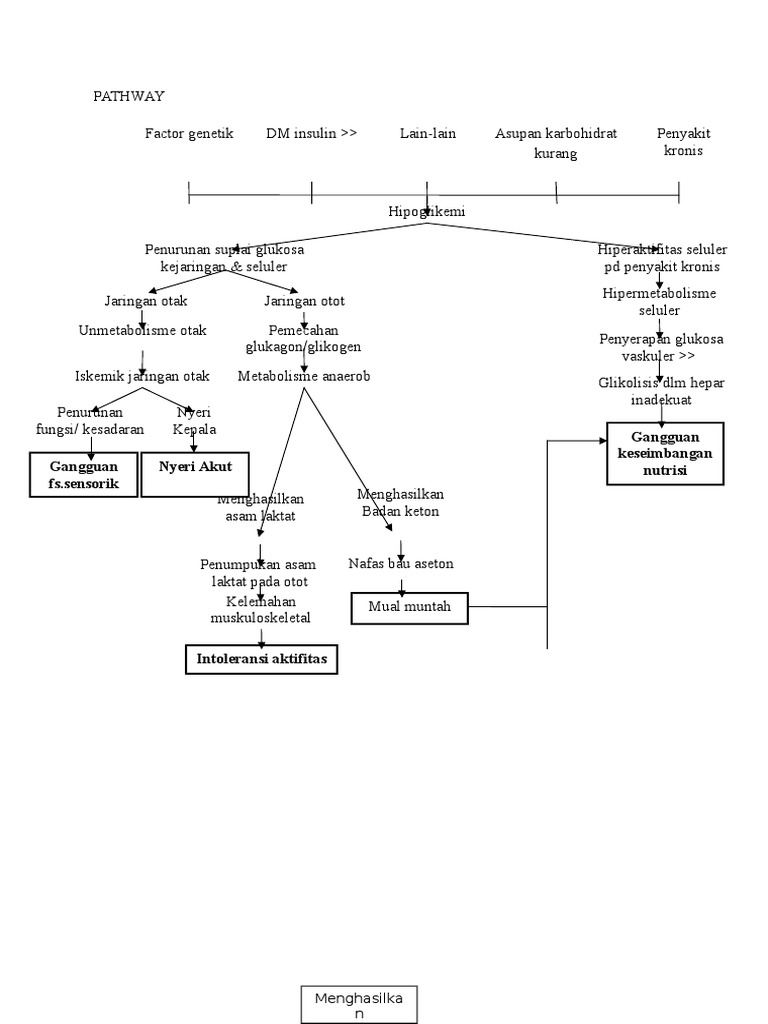 Pathway Hipoglikemia | PDF