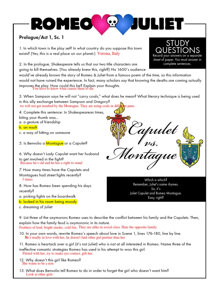 Romeo & Juliet Study Guide | PDF | Art | Classics