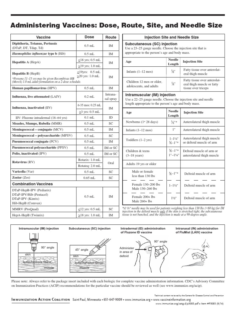 Vaccine Administration Guide | PDF | Injection (Medicine) | Children's ...