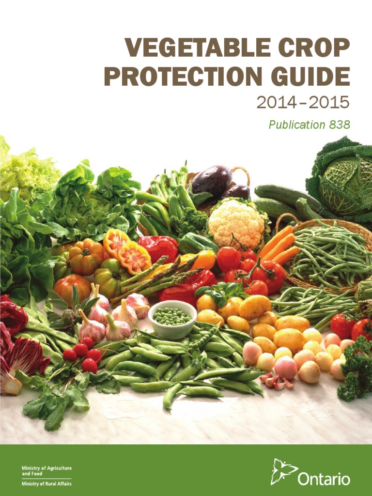 Vegetable Crop Protection | PDF | Organic Farming | Biological Pest Control