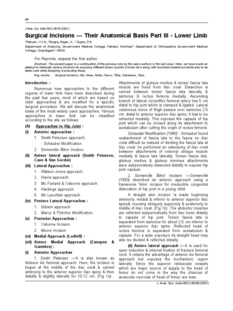 Anatomical Basis of Lower Limb Incisions | PDF | Ankle | Knee