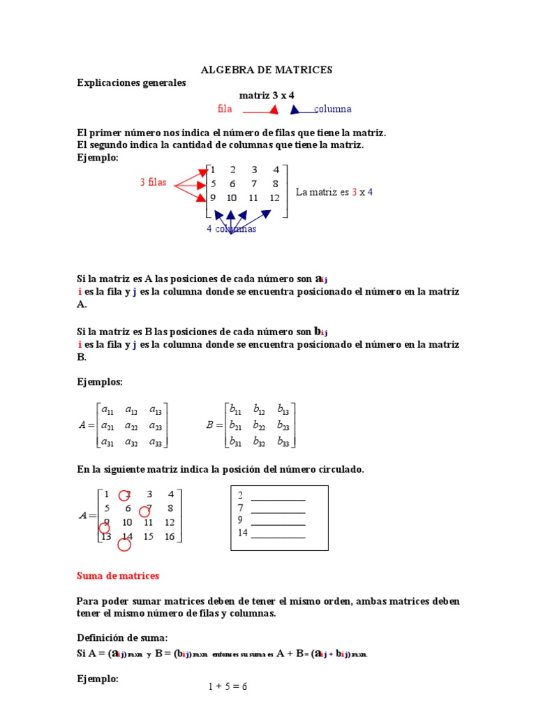 Algebra de Matrices | PDF | Business
