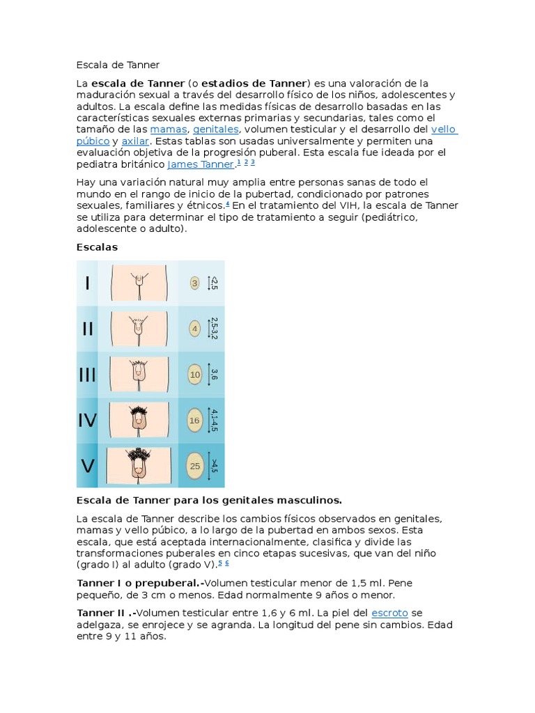 Escala de Tanner | PDF | Pecho | Pubertad