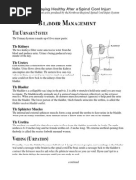Elderly Mobility Scale | PDF