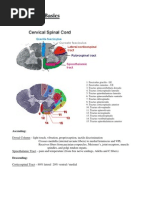 Modified Rivermead Mobility Index | PDF
