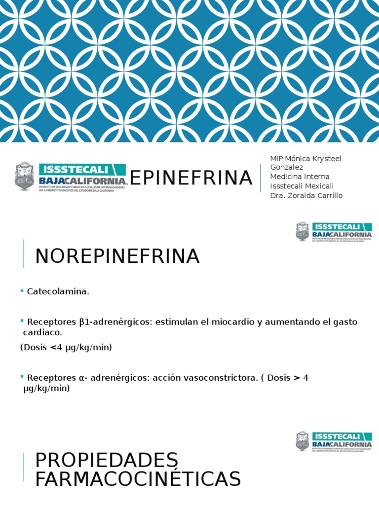 NOREPINEFRINA | PDF