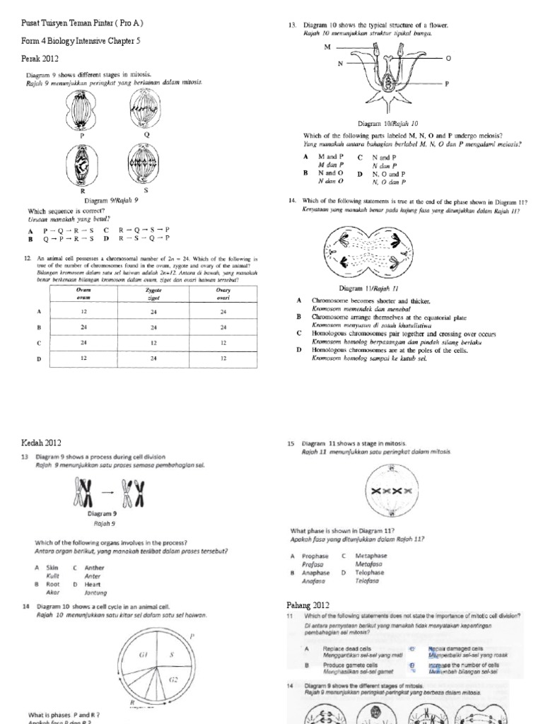 Form 4 SPM Biology Chapter 5 | PDF