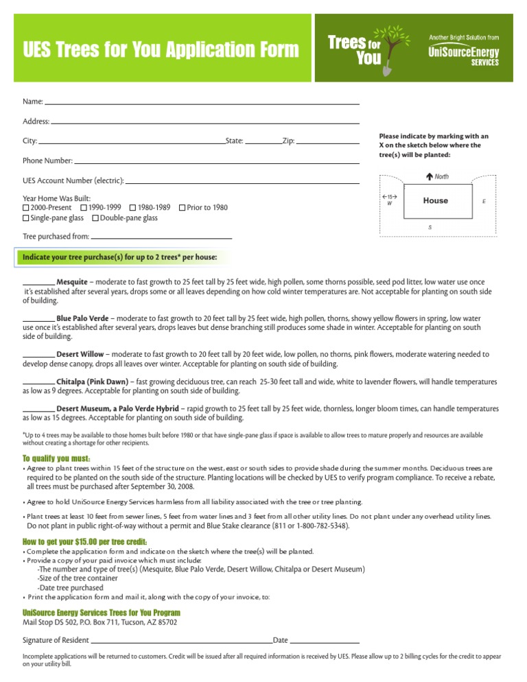 Trees For You Application | PDF