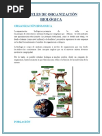 Gradiente Definicion y Gradiente Quimico | PDF | Degradado | Concentración