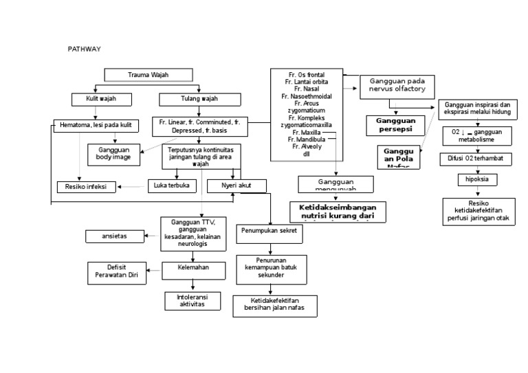 Pathway Trauma Wajah | PDF