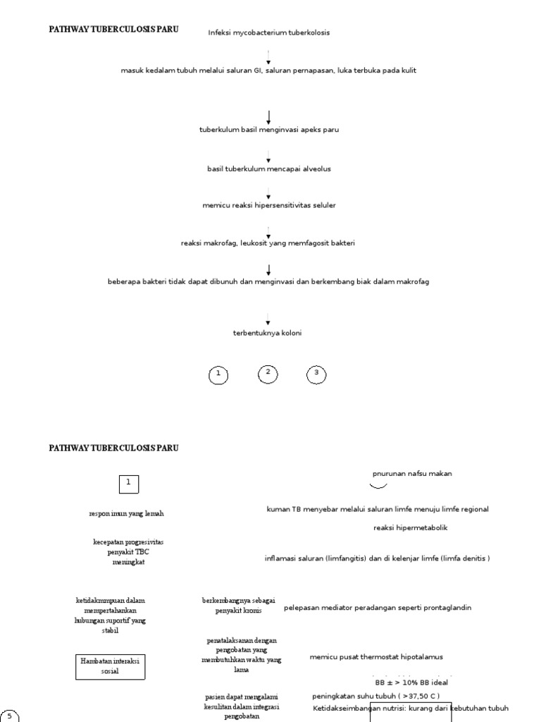 Pathway TB Paru | PDF