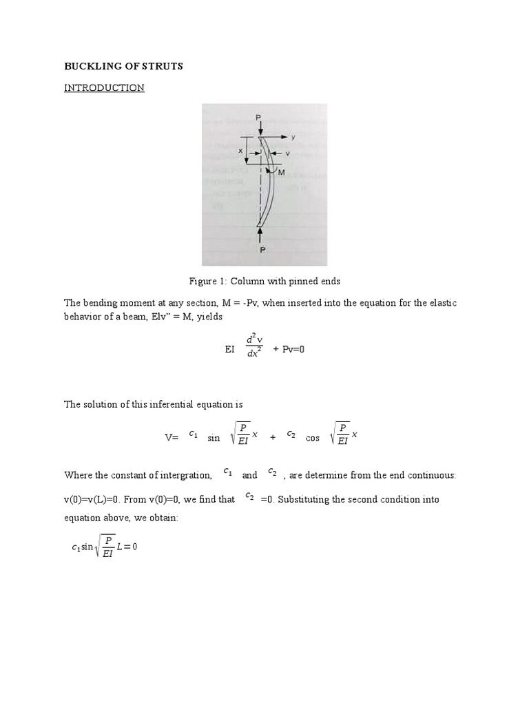 Strut Buckling Test Report | PDF | Buckling | Column