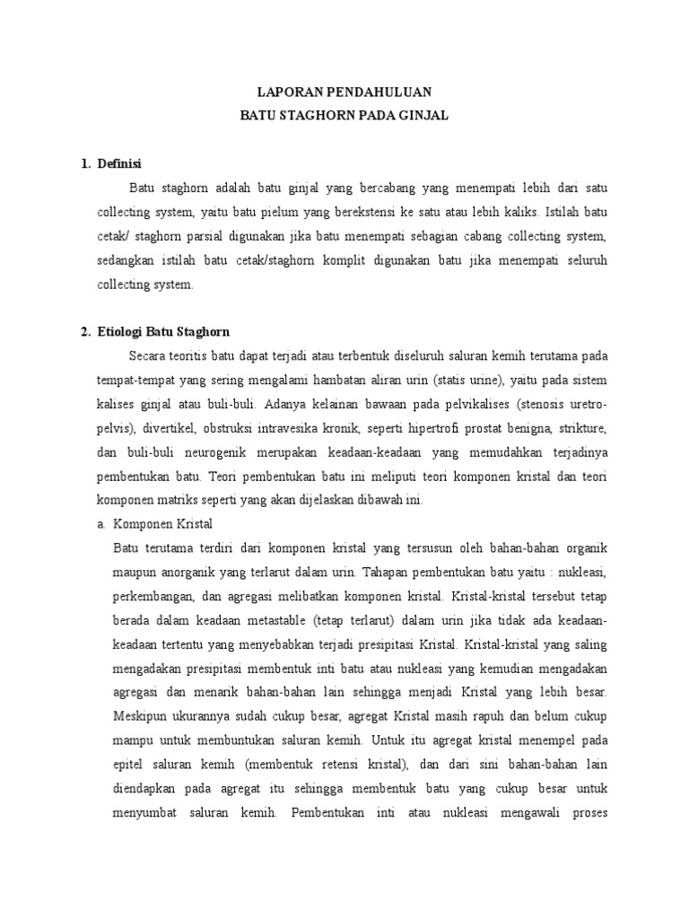 Batu Staghorn Pada Ginjal | PDF