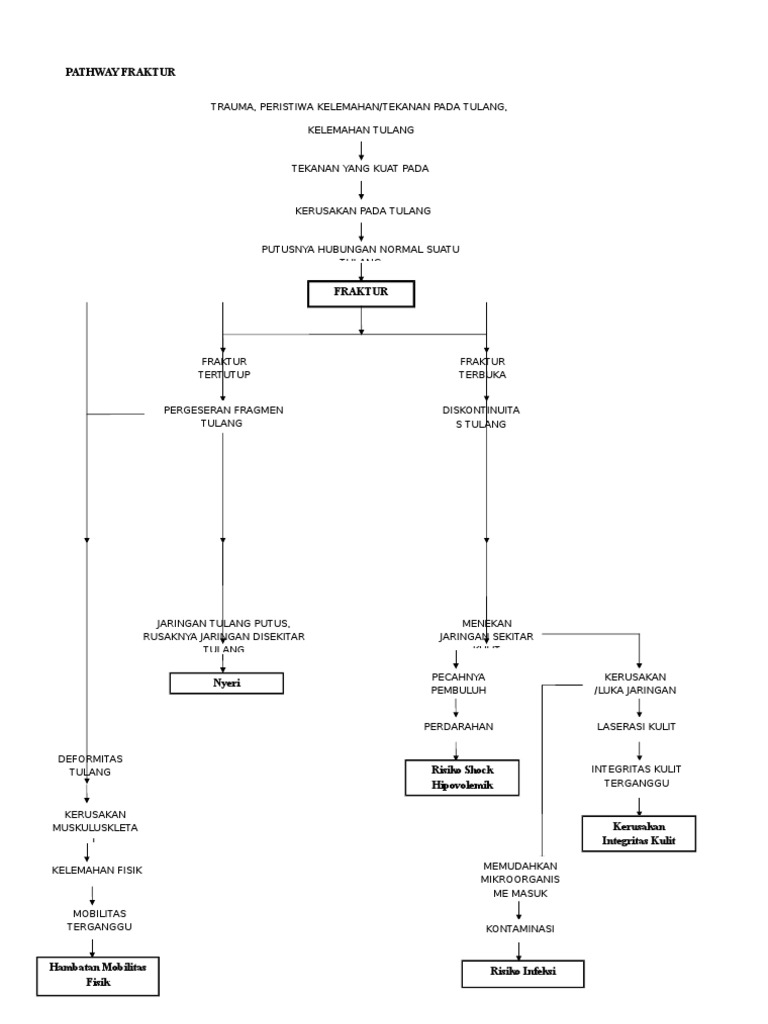 Pathway Fraktur | PDF