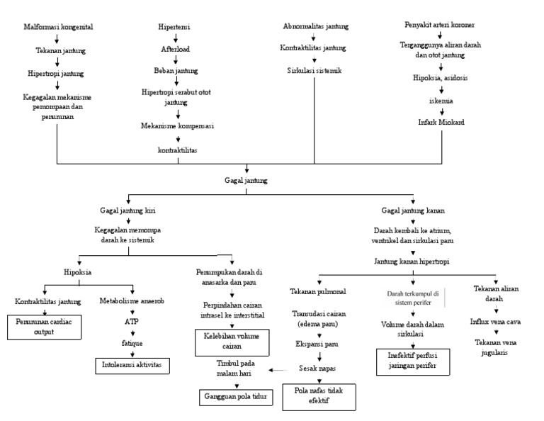 Pathway CHF