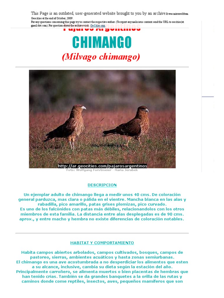 Milvago chimango - CHIMANGO | Aves | Paravianos | Prueba gratuita de 30 ...