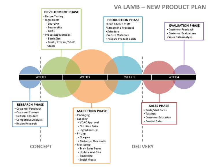VL Productplan | PDF | Career & Growth | Business