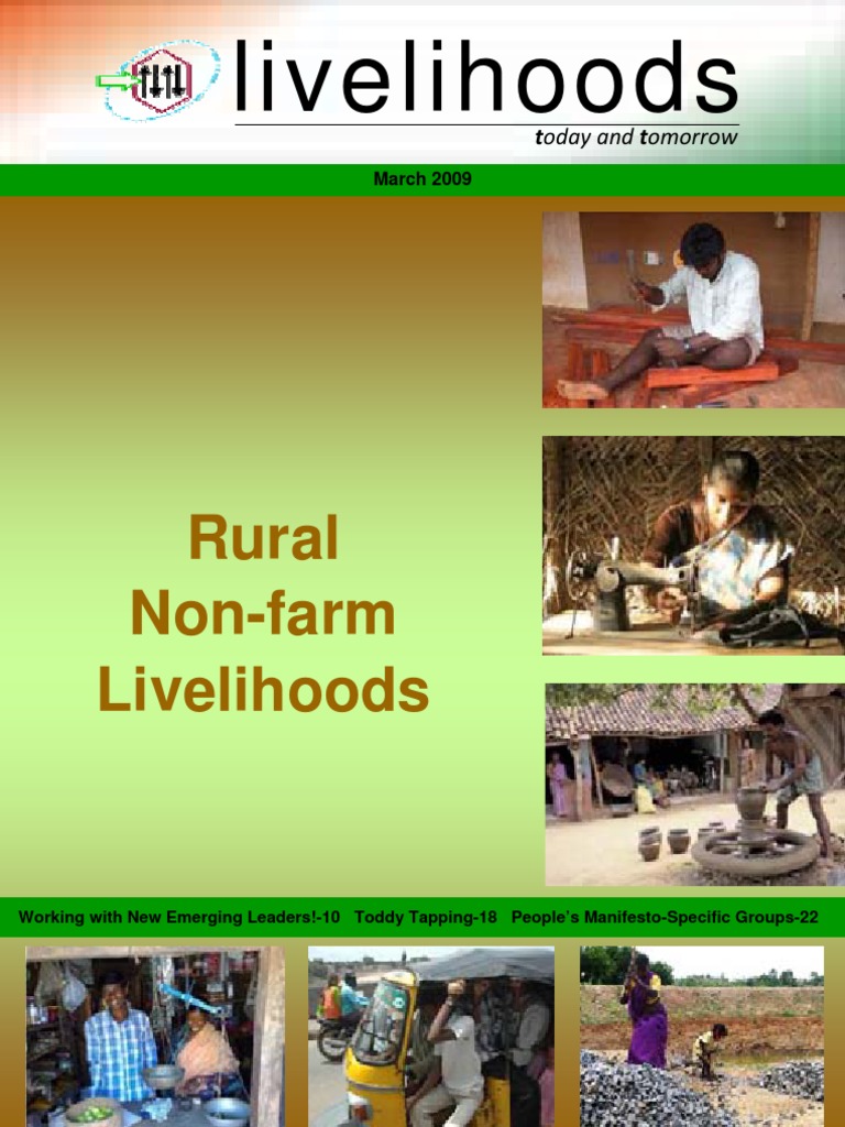 Livelihoods: Rural Non-Farm Livelihoods | PDF | Unemployment | Social ...