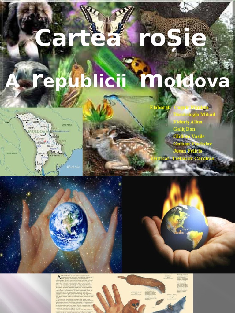 Cartea Rosie Arm | PDF
