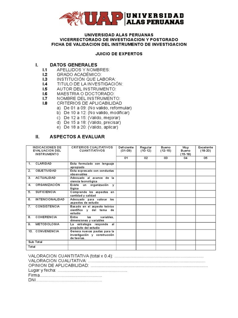 Ficha Juicio Experto | PDF