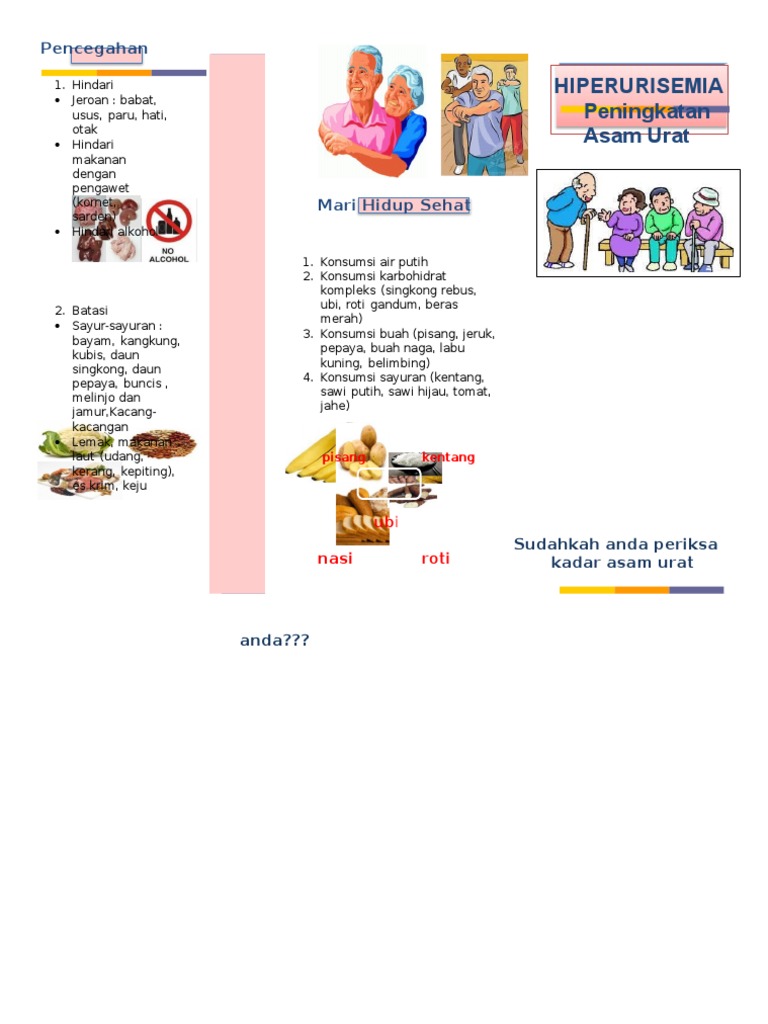 Leaflet Hiperurisemia | PDF