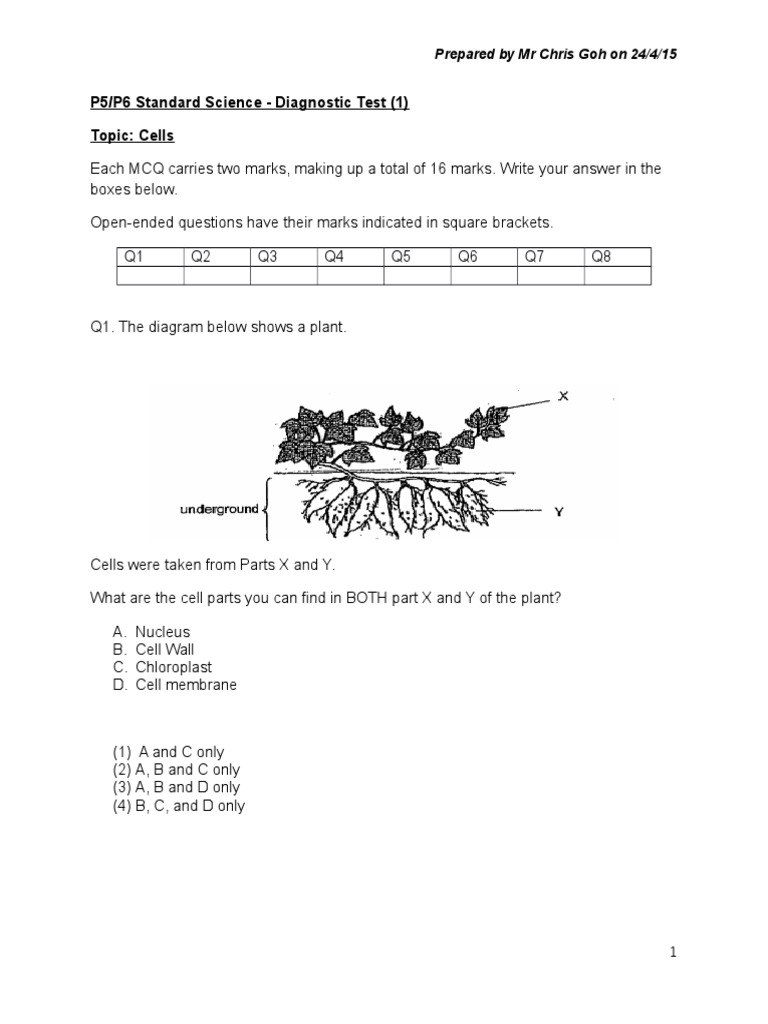 P5 Cells | Download Free PDF | Chloroplast | Cell (Biology)