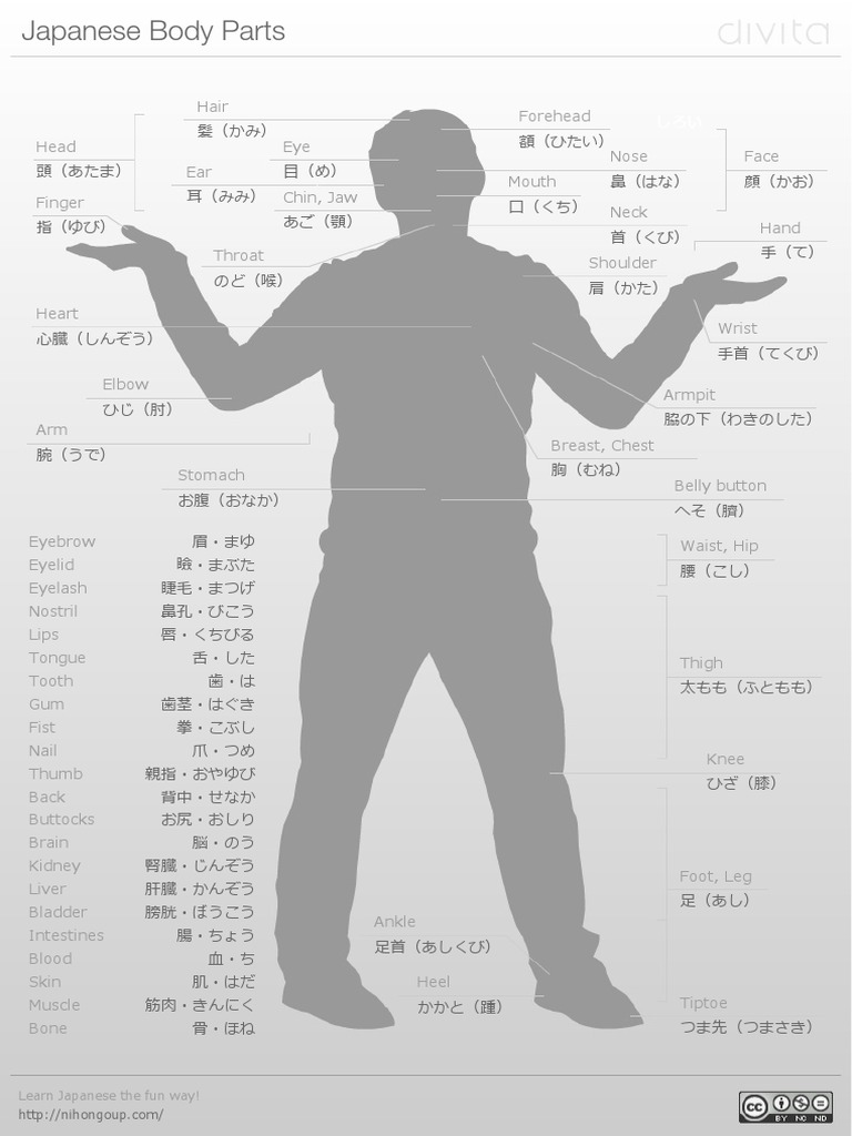 Japanese Body Parts | PDF